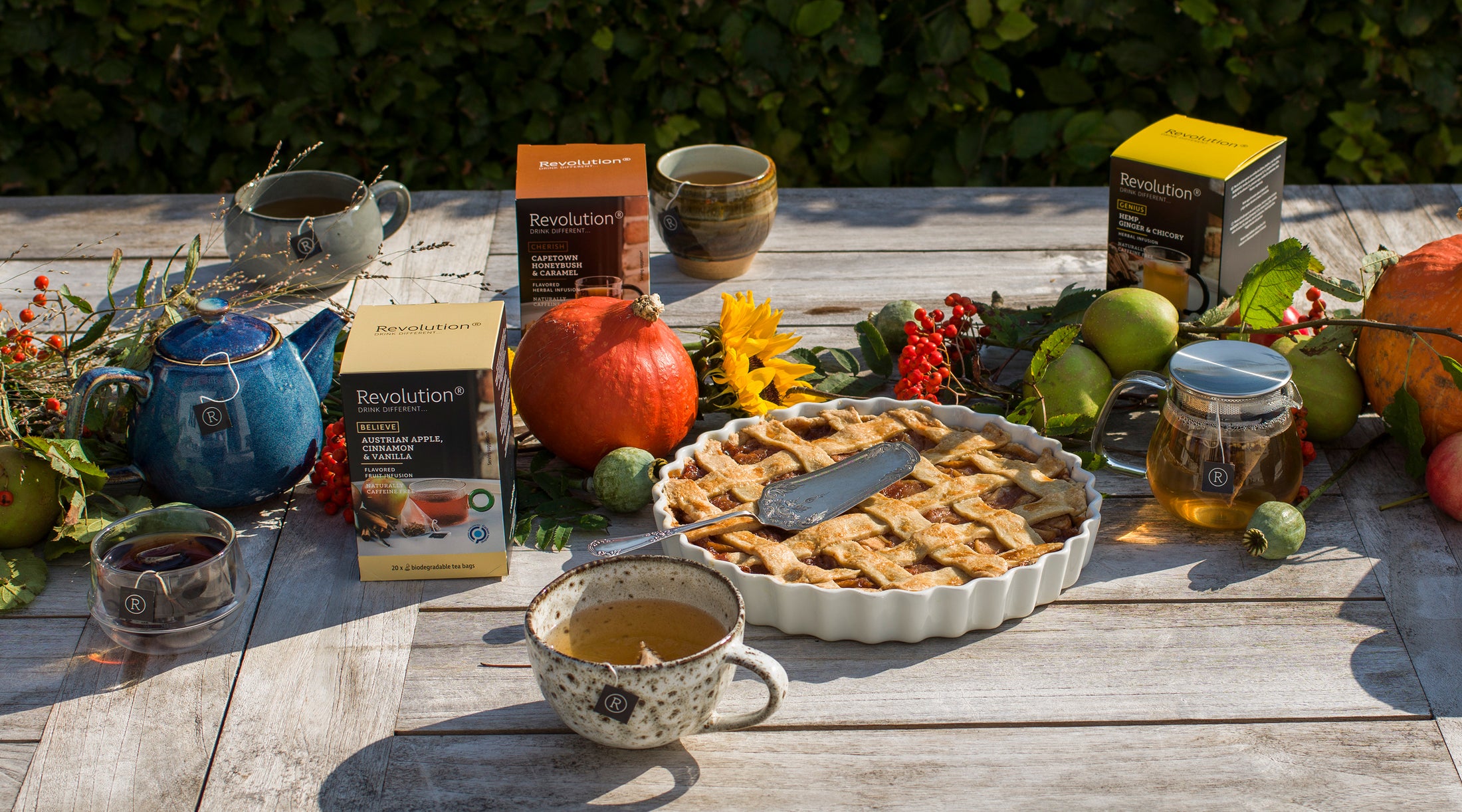 Revolution Tea - Premium Tea Shop - Loose & Full Leaf Teas