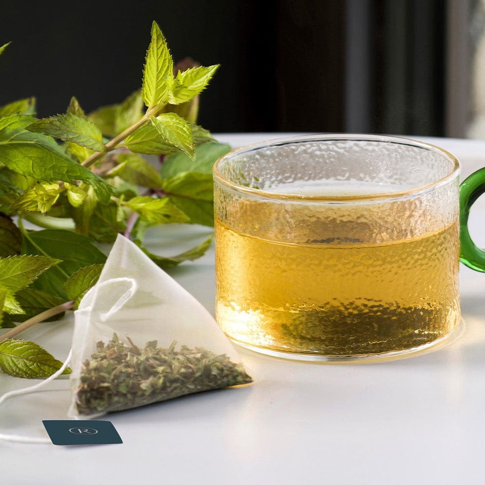 SEE Oregon Spearmint & Peppermint 50 Count – Revolution Tea