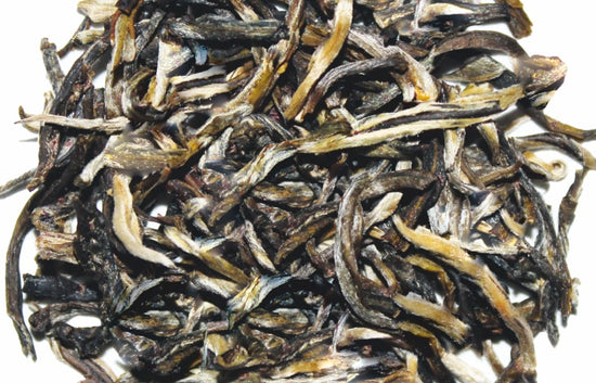 All Products – Revolution Tea